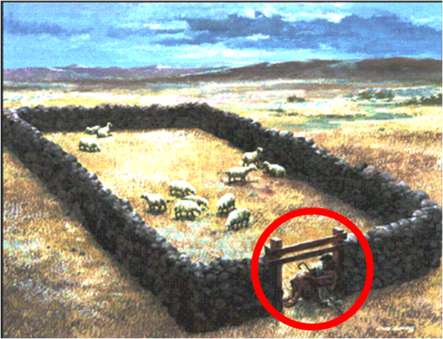 Bible Insight: The Seven "I Am" in the Gospel of John Part 2 "I Am" the ...