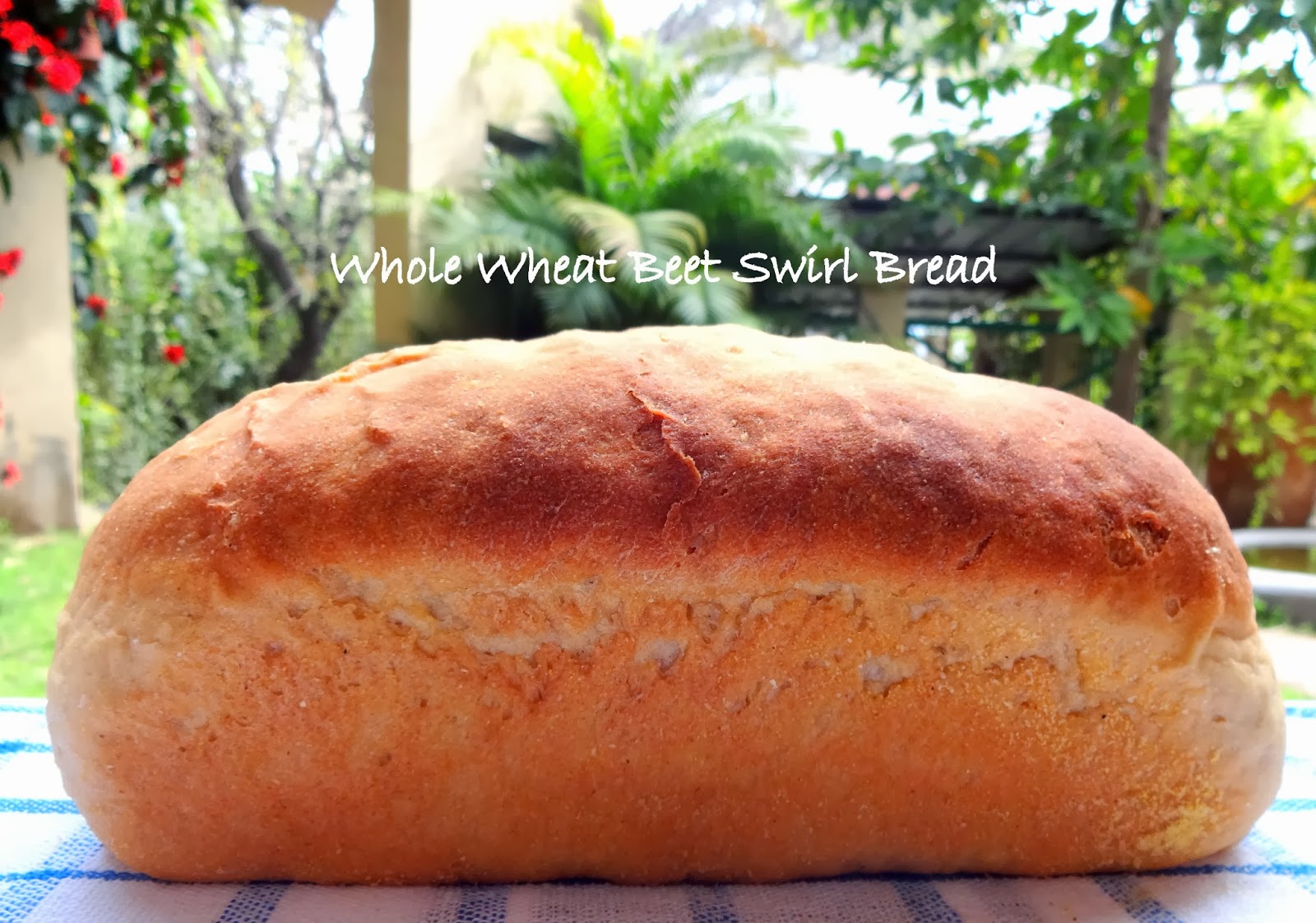 Whole Wheat Beet Swirl Bread (Vegan) | Ambrosia