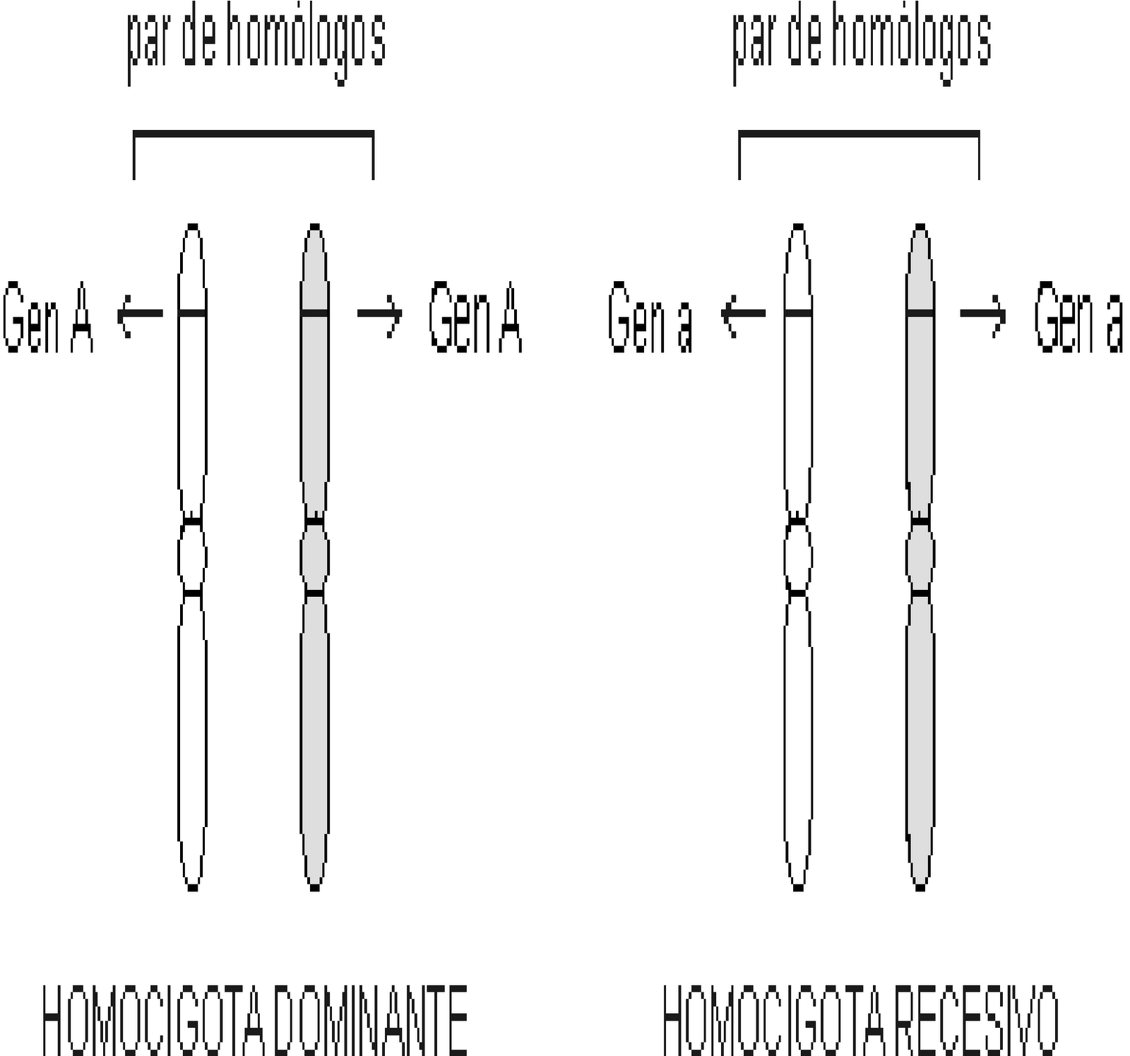 BIOLOGÍA GENERAL: mayo 2012