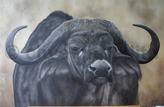 Clive Meredith Wildlife Art: Cape Buffalo 22" x 36" oil on canvas