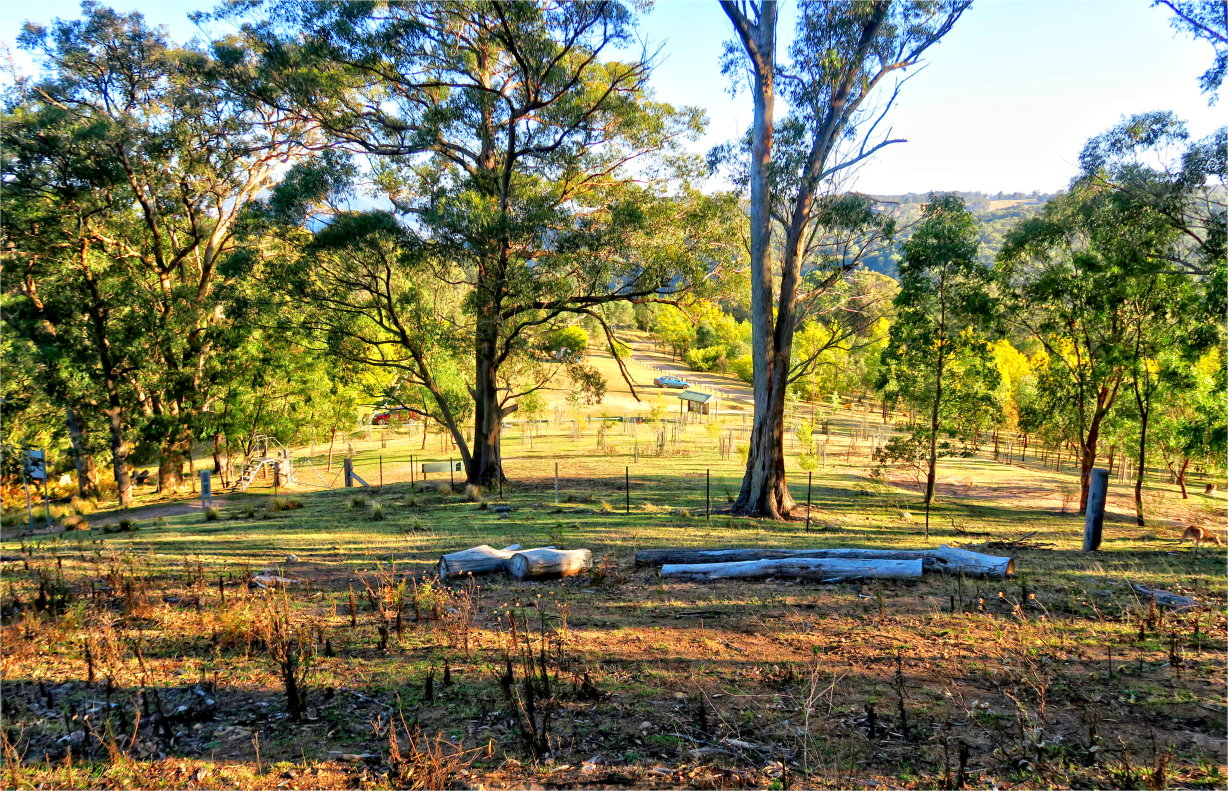 Mountains: Mt Warrigal, NSW, Australia