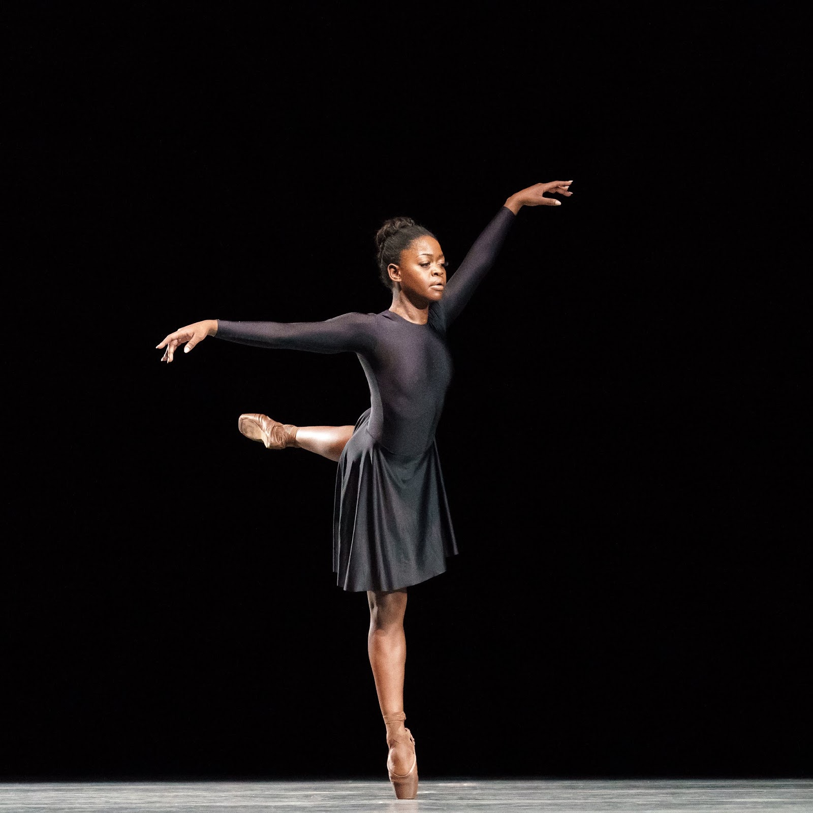 Terpsichore: "Portrait" - Michaela DePrince