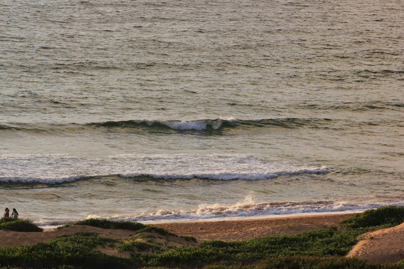 Shelly Beach Surf Report: Monday 13th Jan 2014