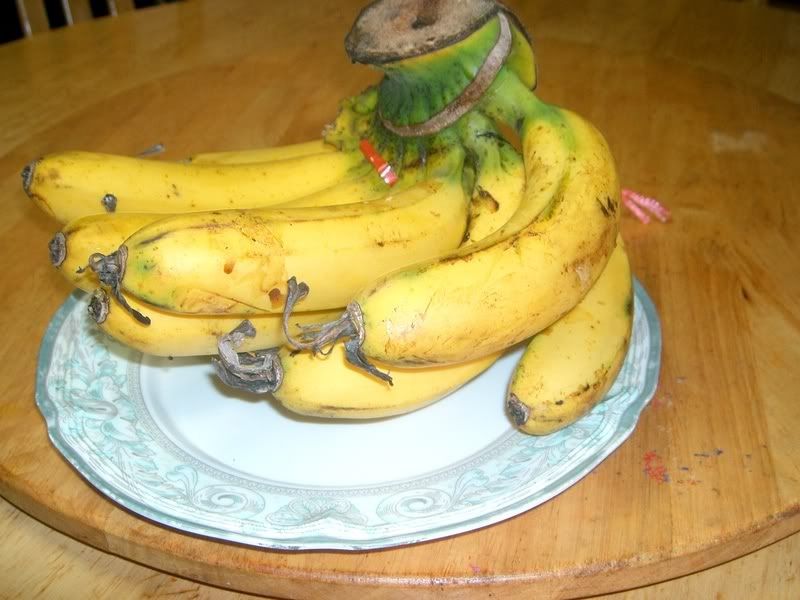 Mengenal Ciri Ciri Buah Pisang Barangan, Harga, Dan Pohon Pisang ...