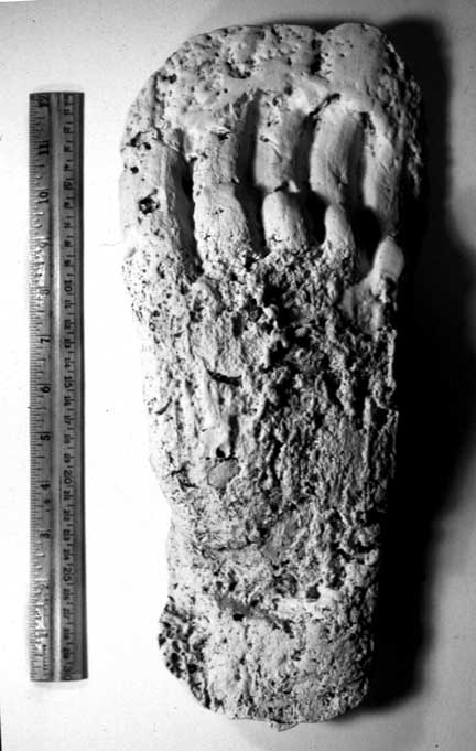 Sasquatch Tracks: Pictures of Sasquatch Tracks and Casts