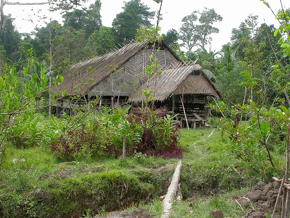 Indonésie - Sumatra : Siberut, au pays des hommes-fleurs - Les routes ...