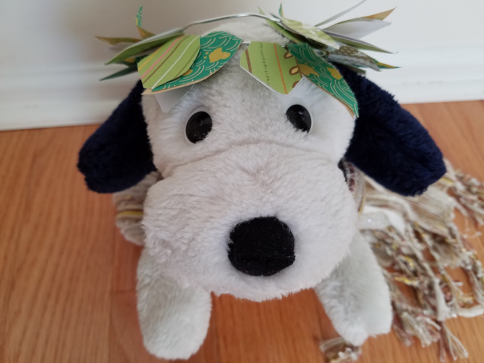 Droop's Scoop: The Blog of a Dog: Toga! Toga! Toga!...