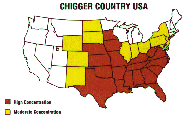 Father Knows Little....: Itchy...