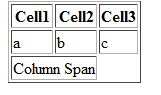 Understanding Column Span and Row Span ~ Basic HTML Programming Tutorials
