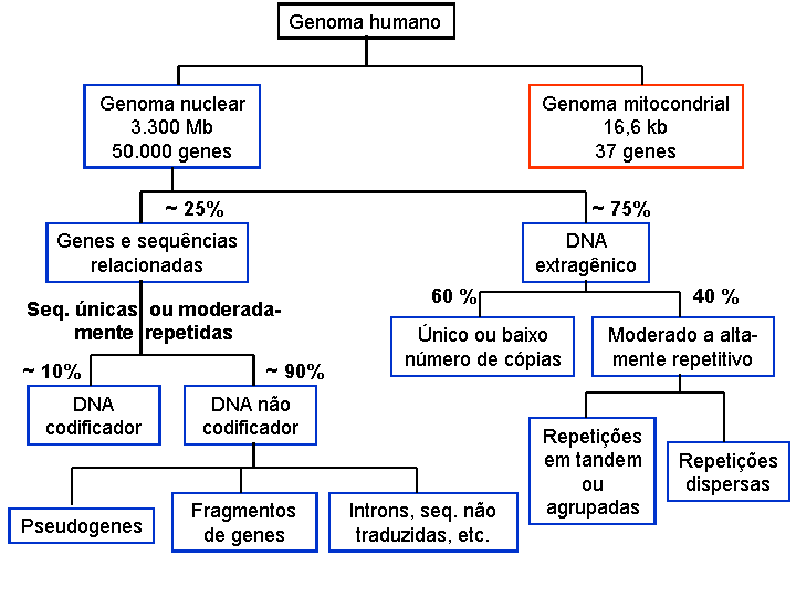 Biologia Interativa