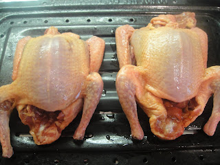 FOODYHOLIC'S Choice: SQUAB Dinner - How to cook