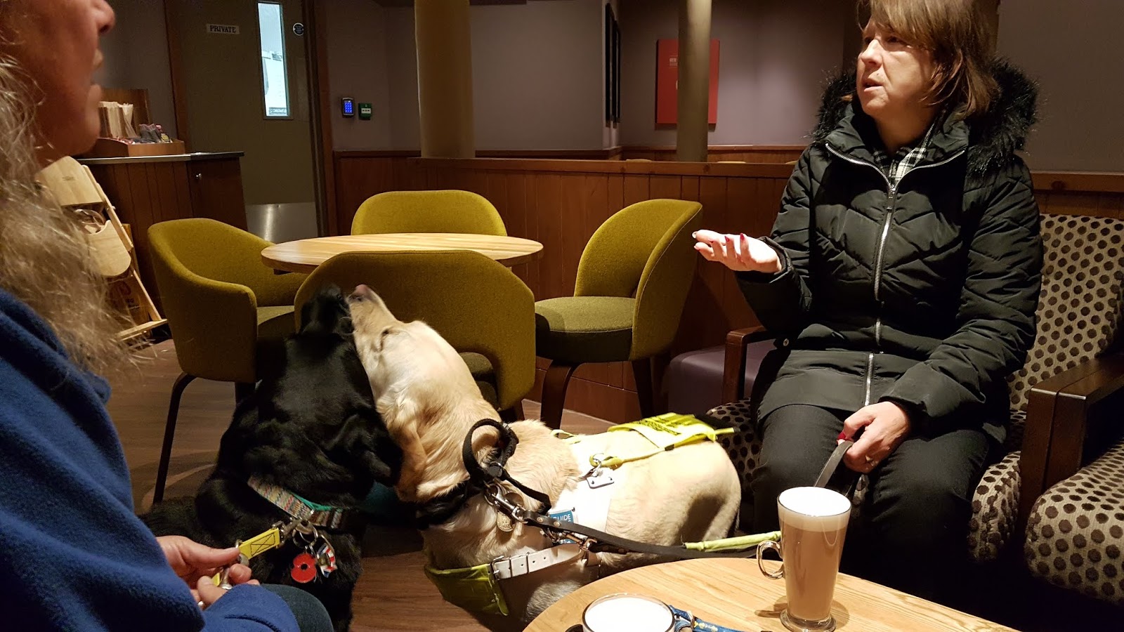 Guide Dog Oakley & NB Sola Gratia: Kanoodling Day!