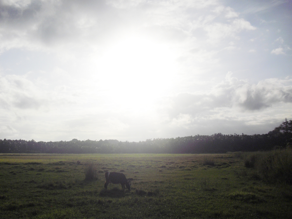 എയ്യാല്‍: Ona Kaalam