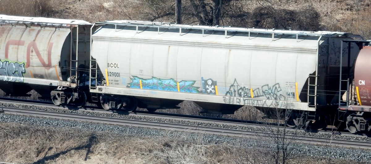 Trackside Treasure: BCOL Covered Hoppers