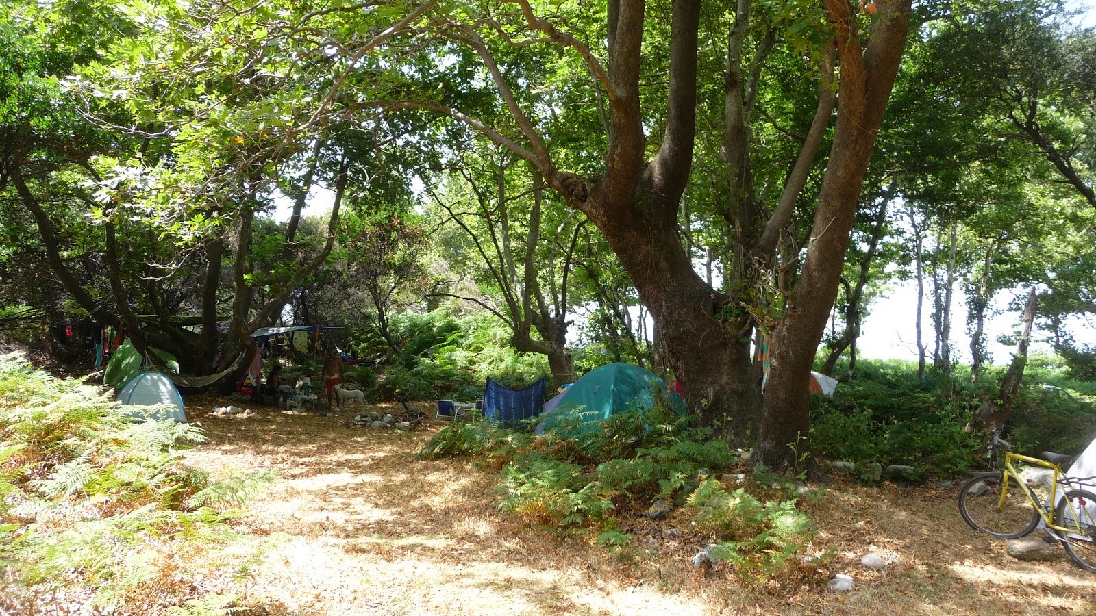 INTRAVELREPORT: Free camping in Samothraki of Greece is strictly prohibited