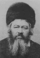 Olive Seedlings - שתילי זיתים: June 2012