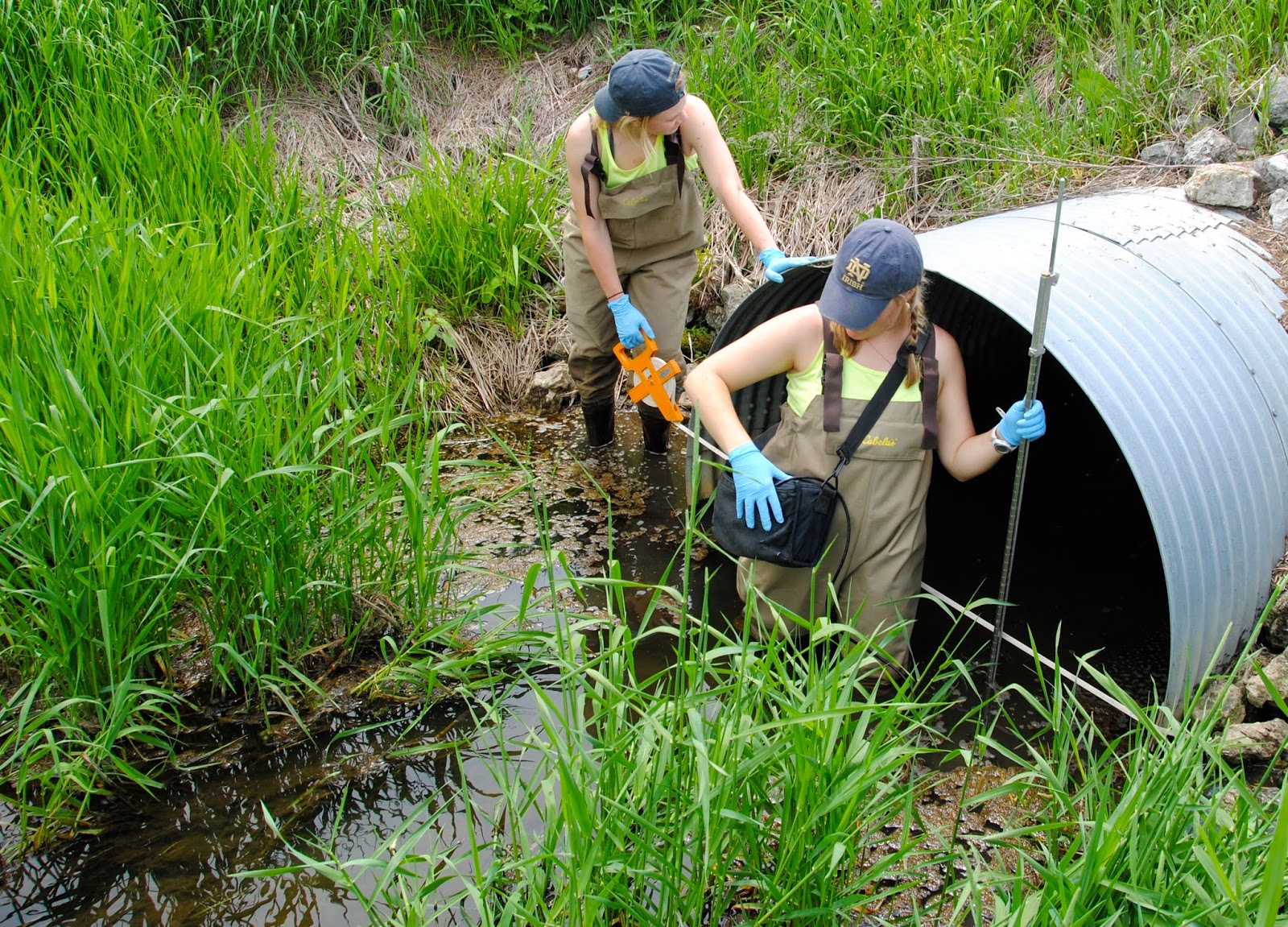On Ponds and Frogs: Stream Ecology Field Work