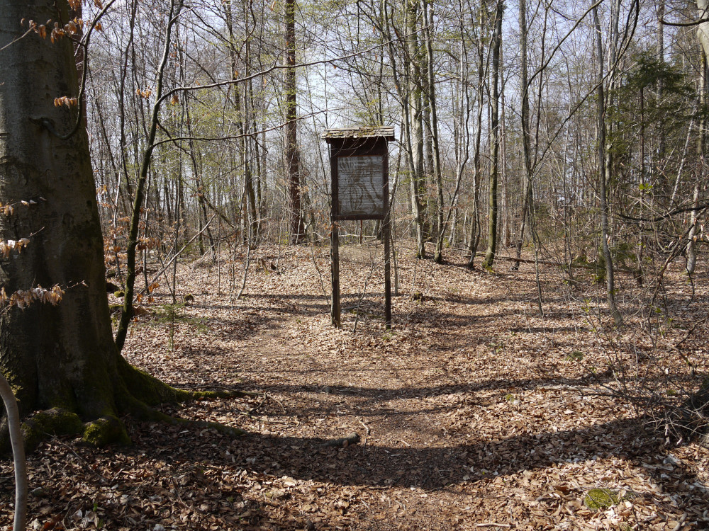 Zeitspringer: April 2020