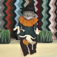 Miss Cellania: Cats Do The Wizard of Oz