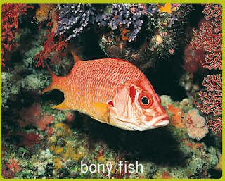 Mi primer año en Red XXI: 2012