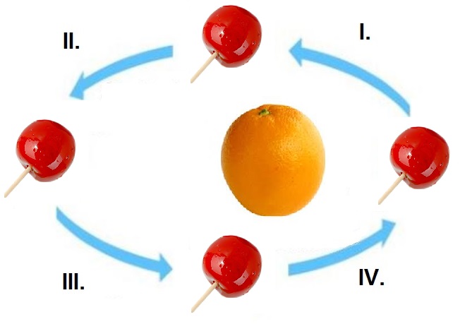 8.Sınıf Mevsimlerin Oluşumu Test - fenbilim.net