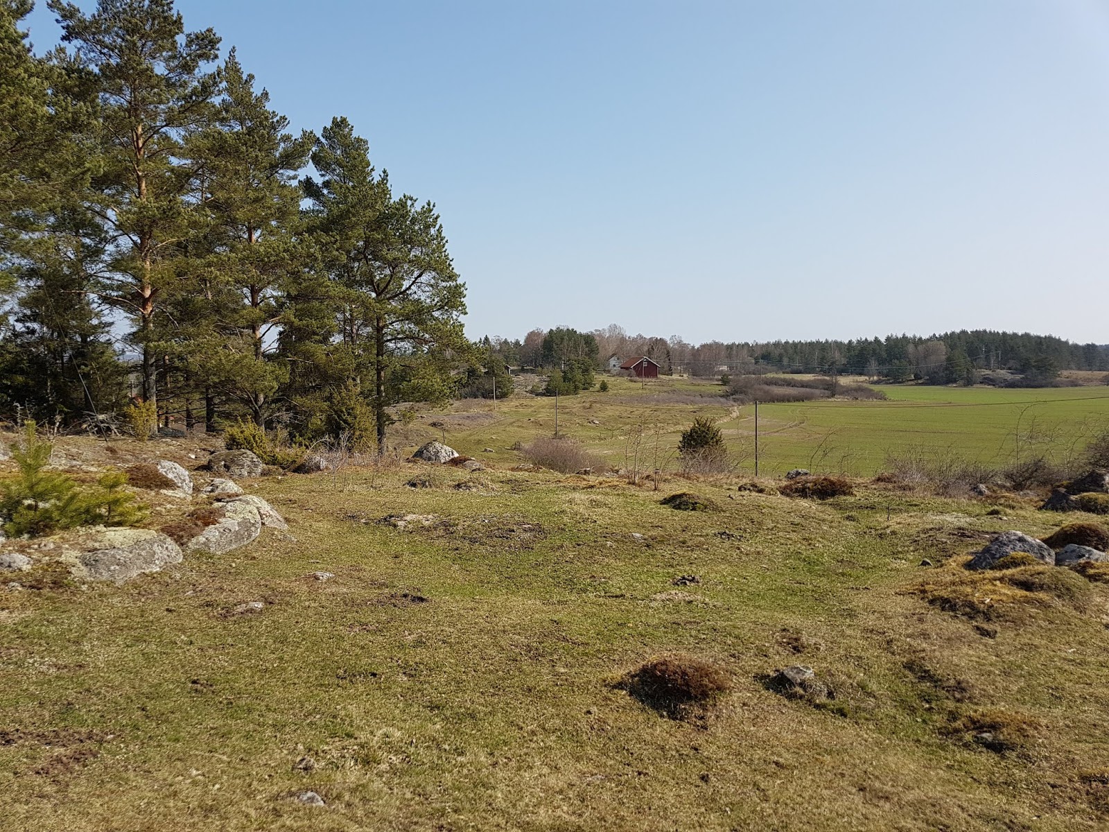 Bland gravar och hällristningar på Arkeologidagen