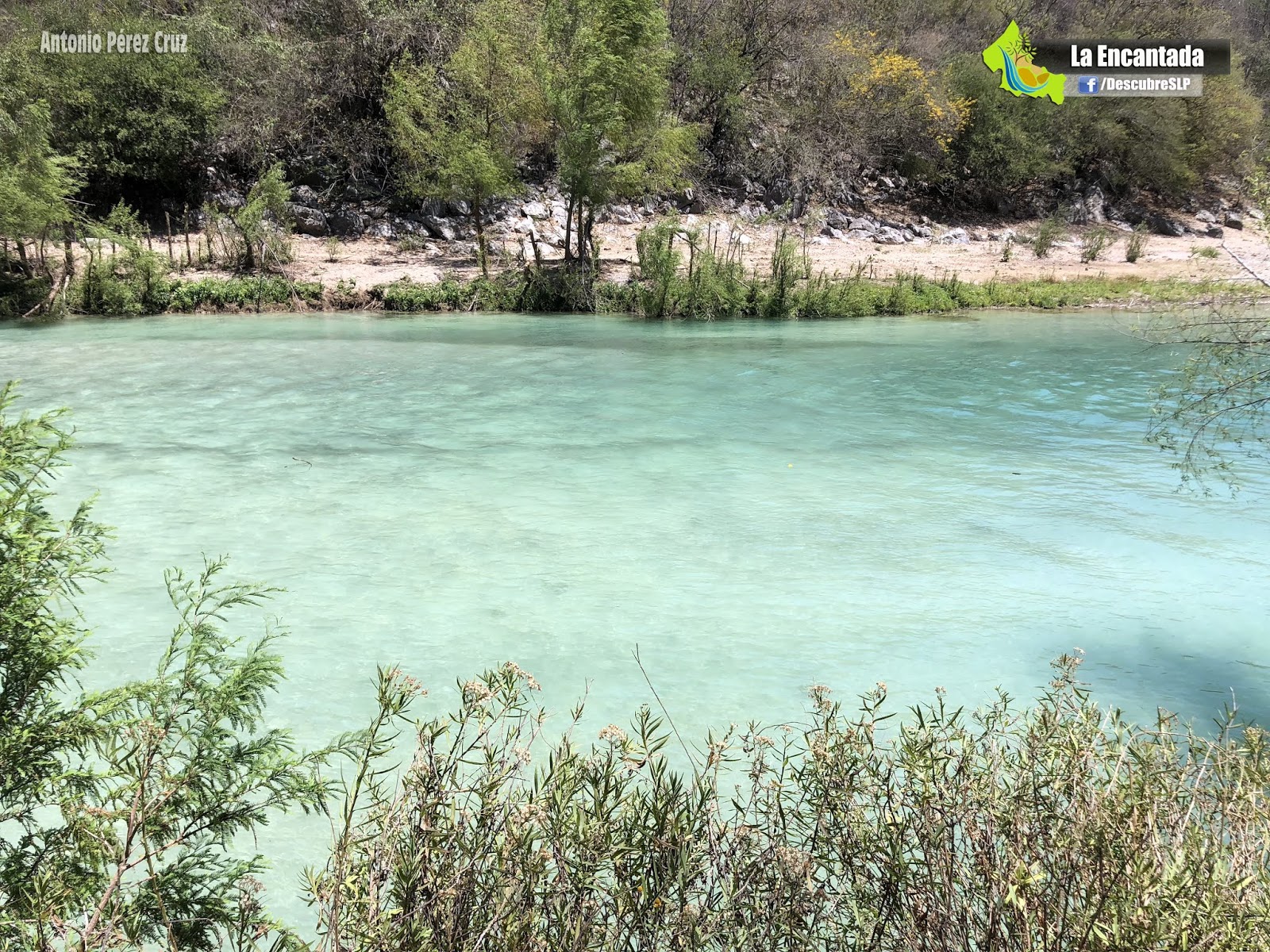 Descubre SLP: Río Santa María (La Encantada)