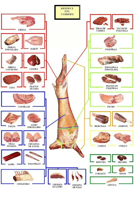 GastroNomia. MateriasPrimas: Tipo de cortes: Despiece EL CORDERO