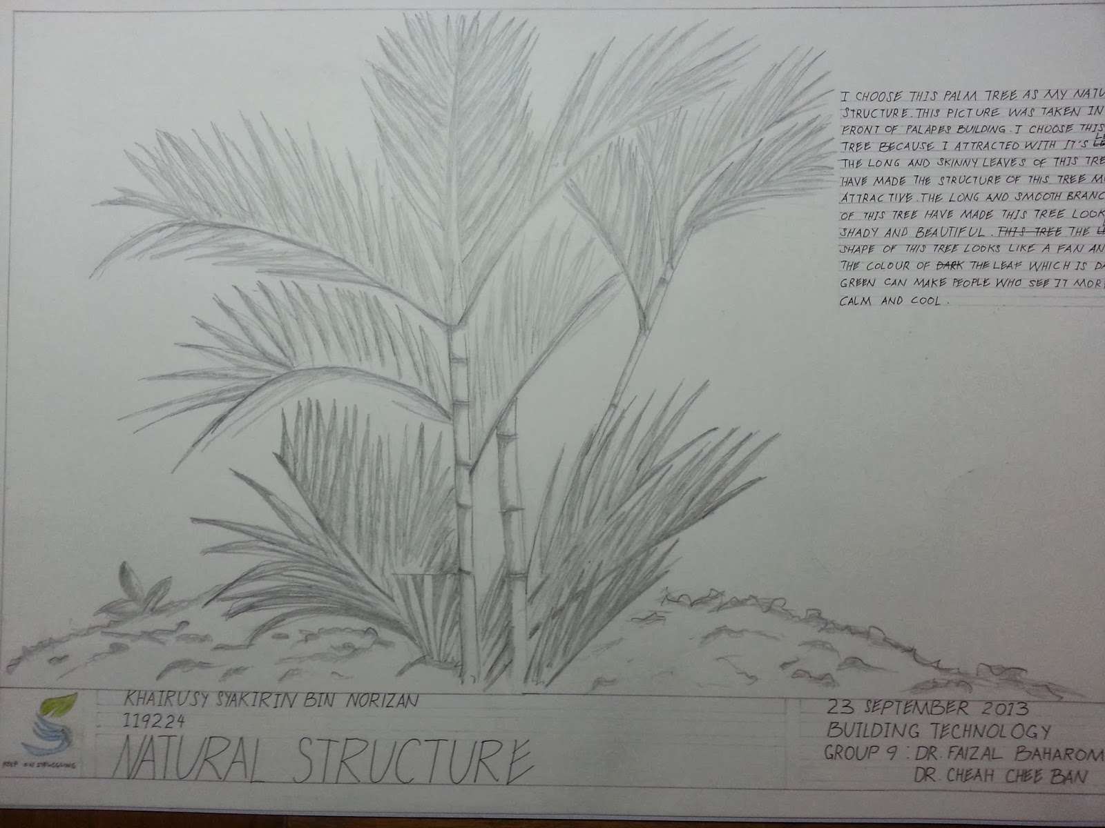 Journey To Begin: 2(b)-NATURAL STRUCTURE