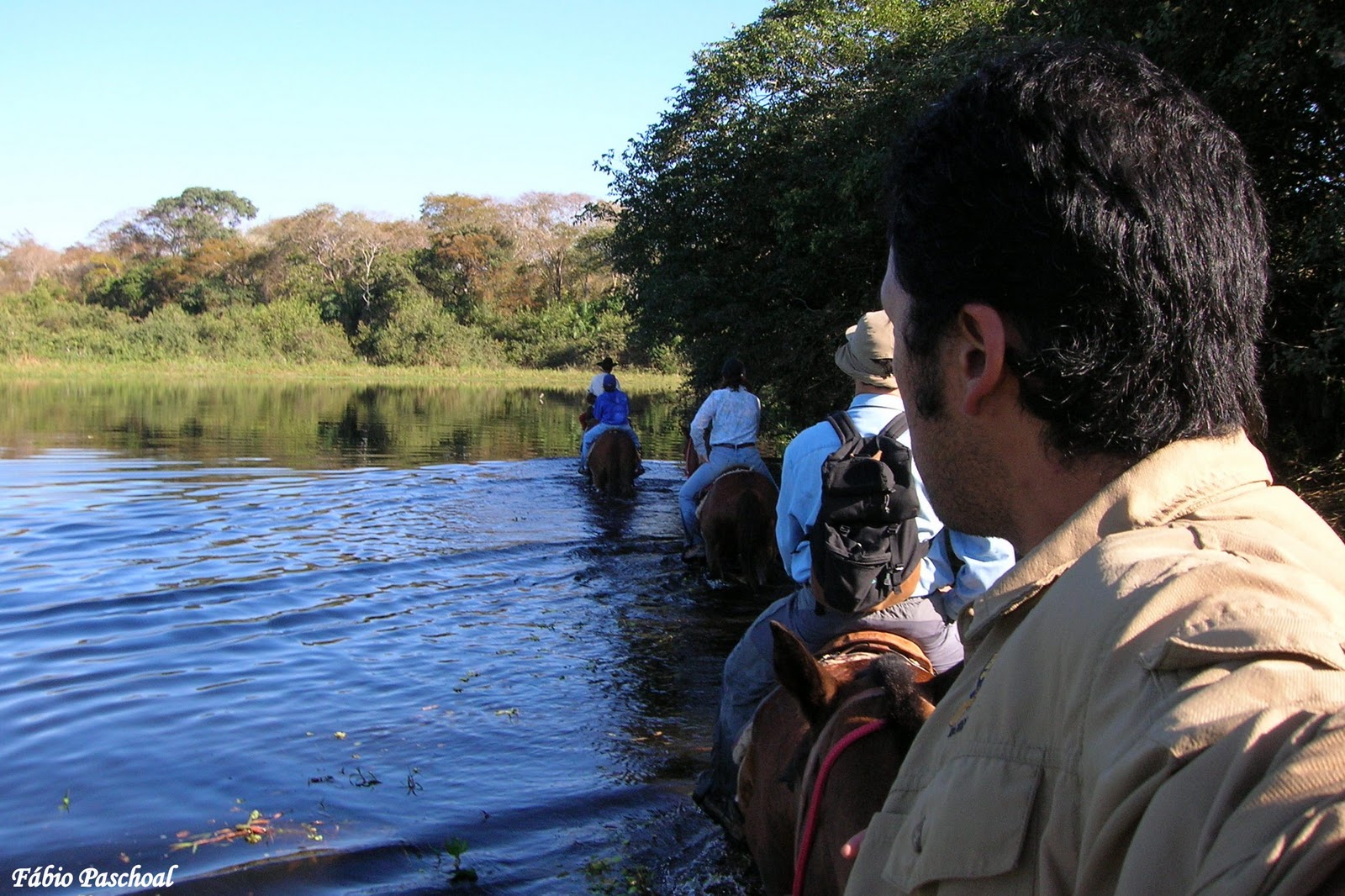 Contos De Paco Encontros Com A Vida Selvagem Pantanal Capítulo 5