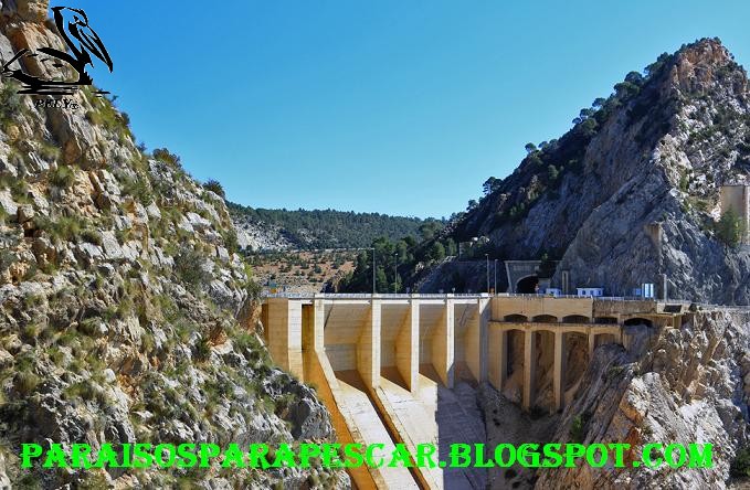 PARAÍSOS PARA PESCAR: EMBALSE DE CONTRERAS
