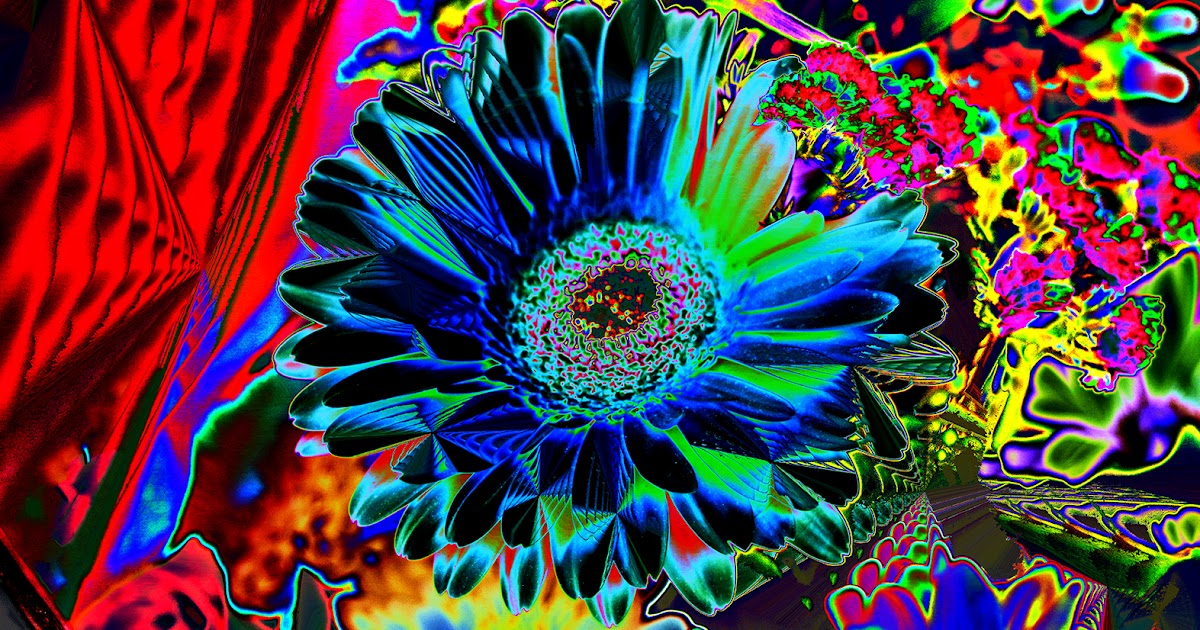 Mark-Fisher-Photo-Images: Mixed Directions • Mark Fisher Photo-Images ...