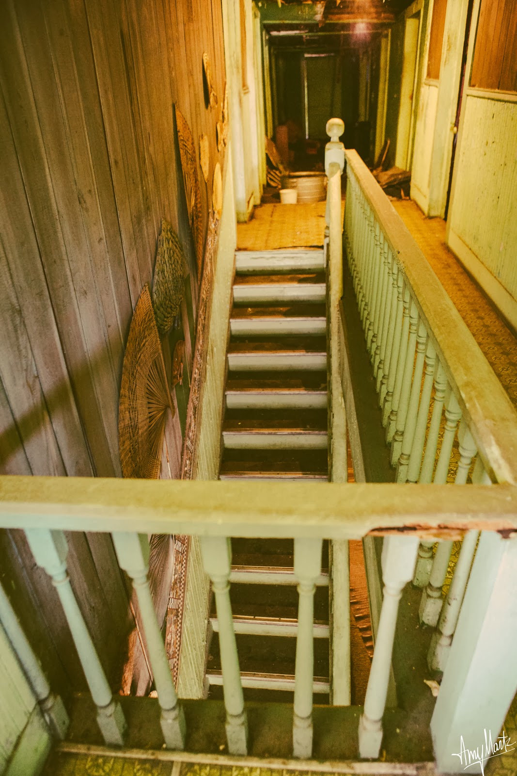 Tampa Bay Artist Photographer Amy Martz Blog: Inside the Jackson House ...