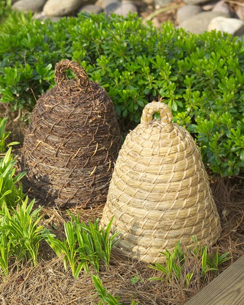 vignette design: Bee Skep Love
