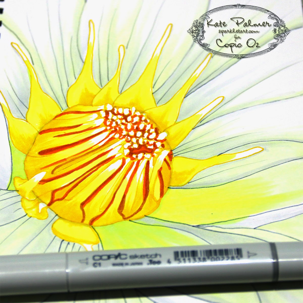Copic Australia | Combining Watercolour Pencils with your Copics