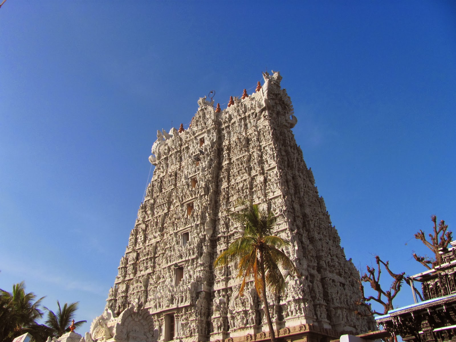 Templedarsan.com: Suchindram Temple-Kanyakumari district-Tamilnadu