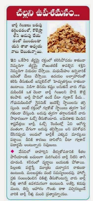 TELUGU WEB WORLD: SUMMER COOLER FOR HUMAN BODY BARLEY - USE BARLEY FOR ...