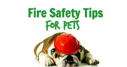 Fire Safety Tips For Pets - Safety