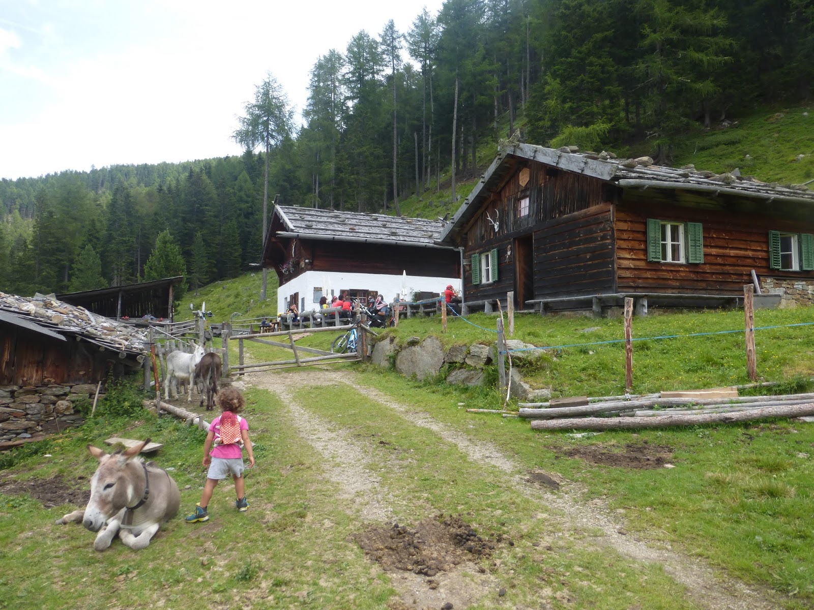 ALP-TRÄUME Südtirol: Alt-Alm (Tomberg-Alm), 1841 m