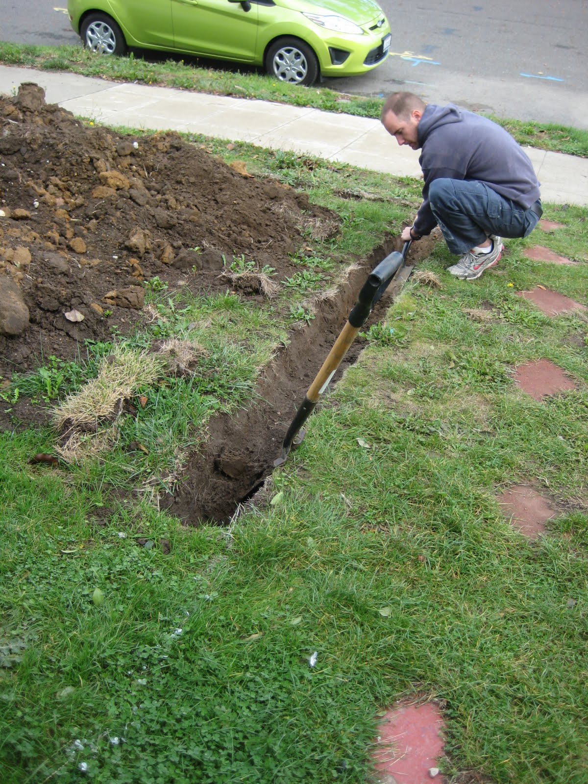 Remember that Big Pile of Dirt?