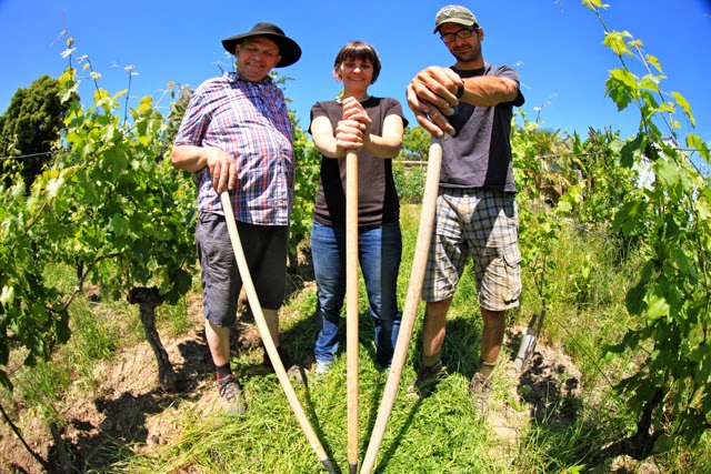 Jim's Loire: Les Caslots (Domaine de la Chevalerie, Bourgueil) à la ...