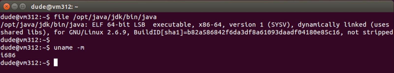 Soa Jp Instalar Oracle Sql Developer En Ubuntu 1404