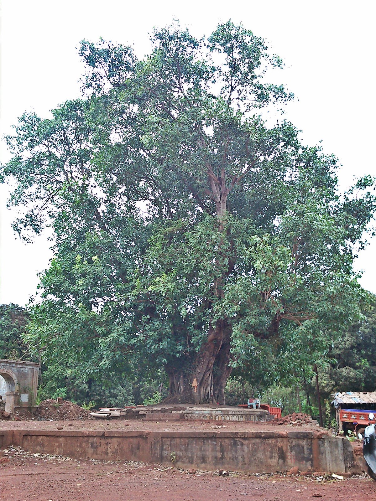 NIfISH tRAVELOGUES: Redi (Sindhudurg) : Places to See