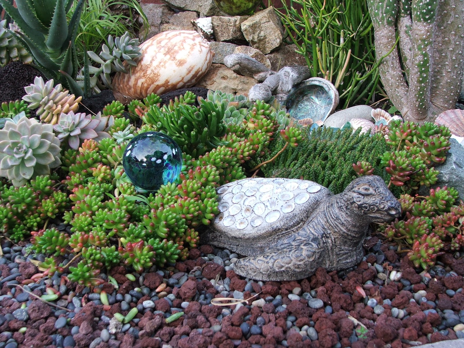 Garden and Bliss: Ocean Theme Landscaping Gallery of Photos