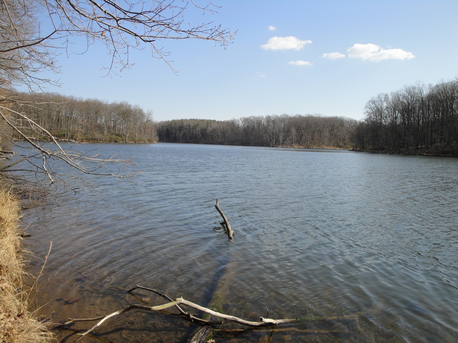 From the Suburbs, Naturally