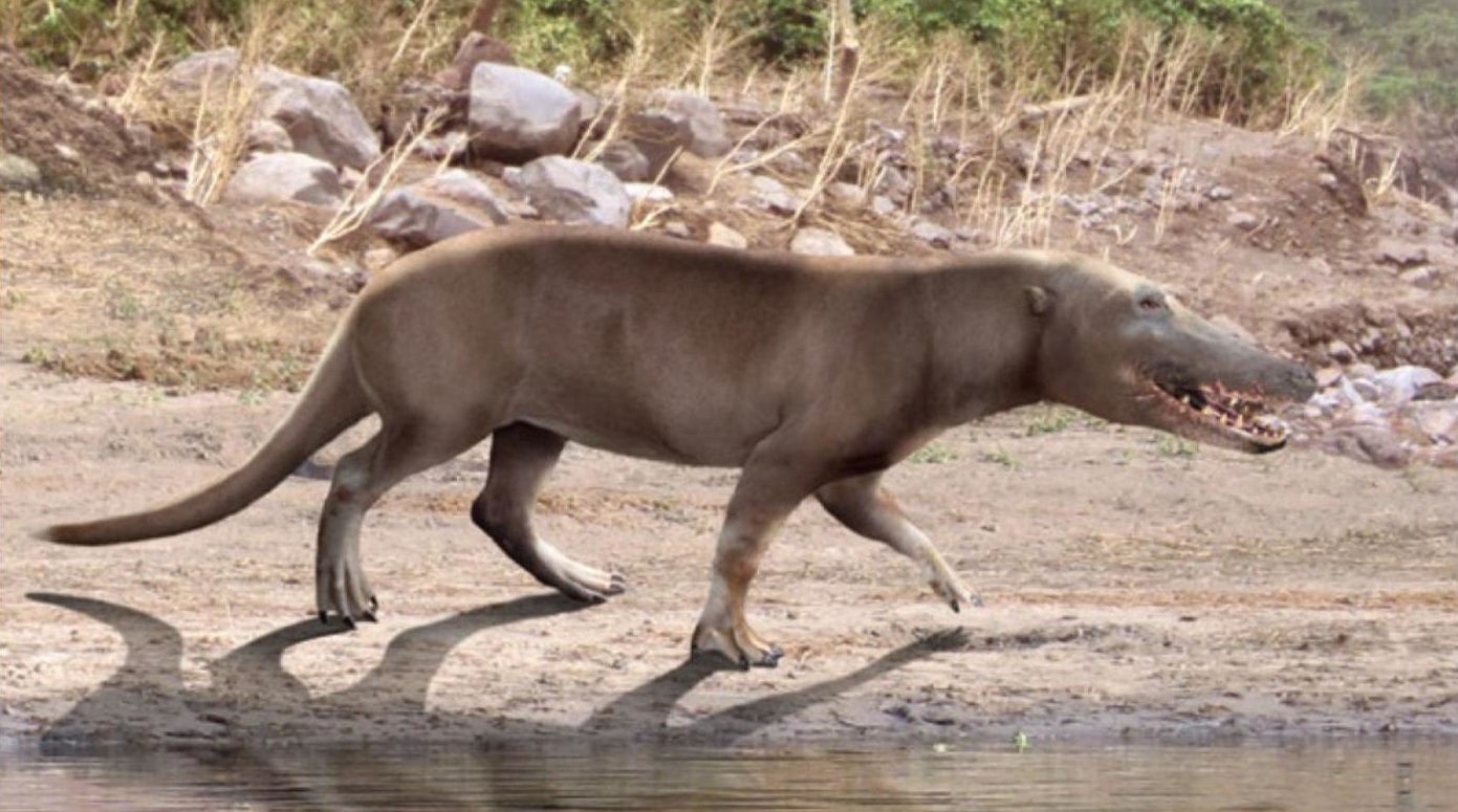 Outras Verdades Inconvenientes: Novembro 2011