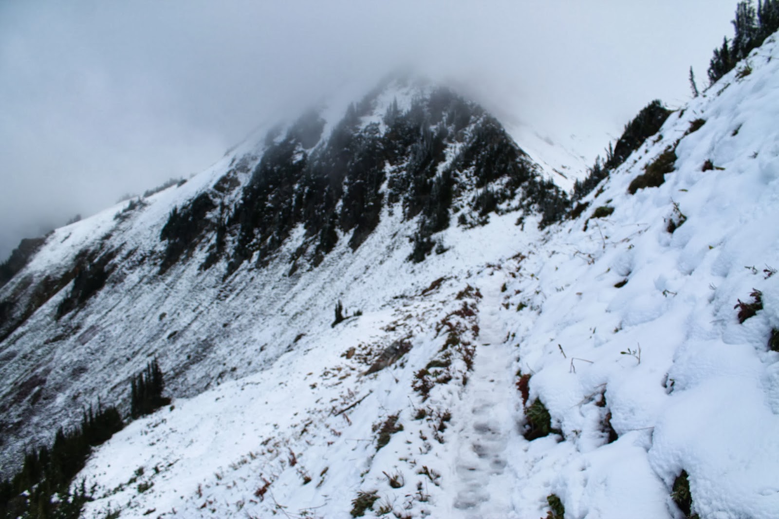 IN THESE WOODS: DAY 158: SNOW AND MUD