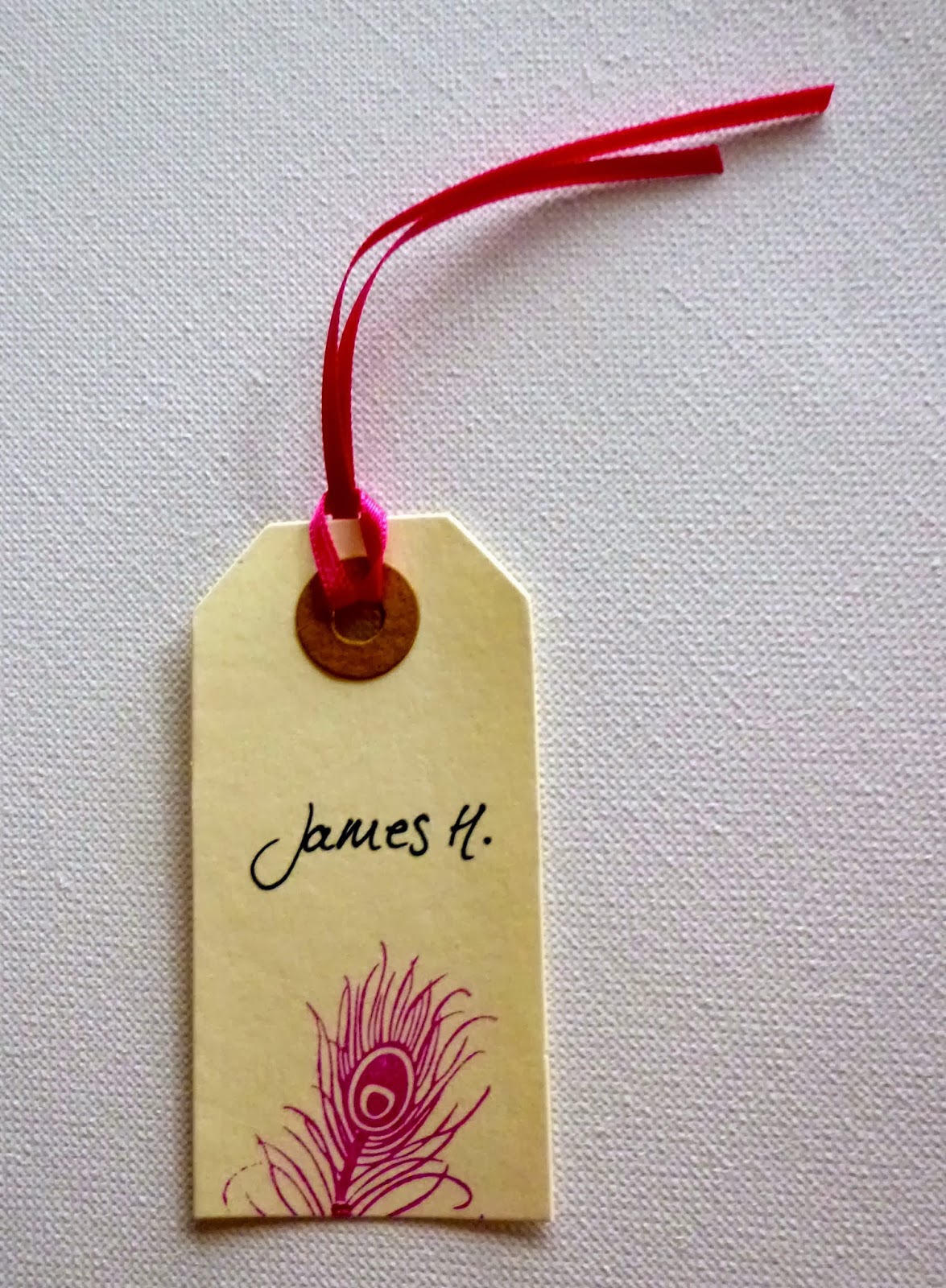 Frog On A Rose : Peacock and Pink Handmade Name cards