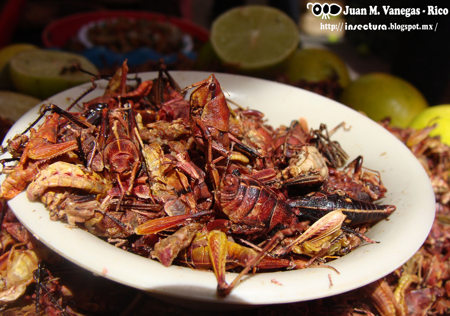 INSECTURA: Chapulines con chile y limón