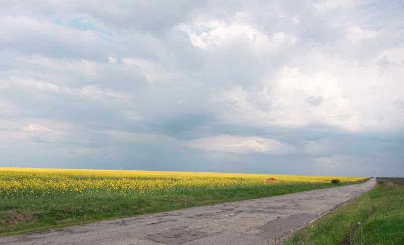 Marea galbena si Oceanul verde. – Life, Adventures and Bikes.